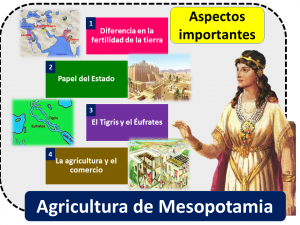 Agricultura de Mesopotamia - Qué es, definición y concepto