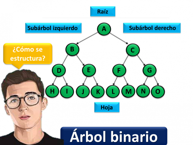 Árbol binario | Economipedia