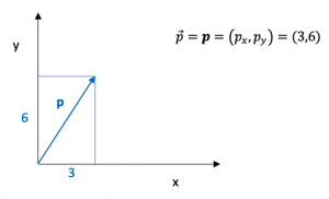 Vector | Economipedia