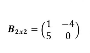 Tipos de matrices | Economipedia
