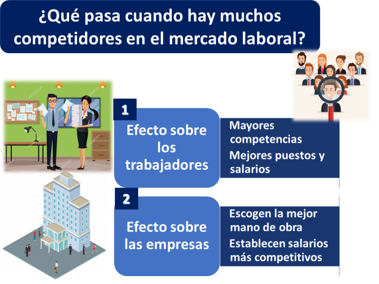Tipos De Competidores: Cuáles Son Y Cómo Identificarlos – HHCT