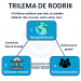 Trilema de Rodrick - Definición, qué es y concepto | Economipedia