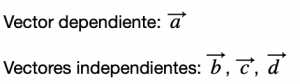 Combinación lineal de vectores | Economipedia