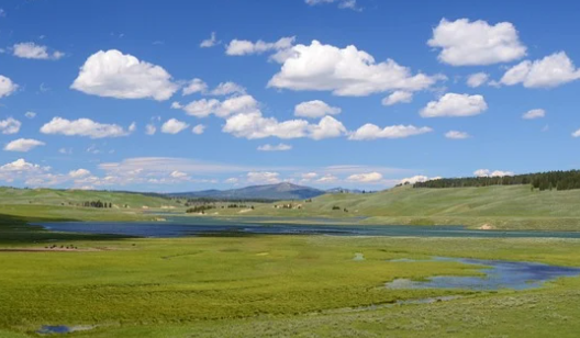 Capital natural | Economipedia