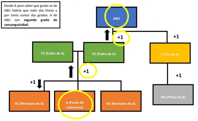 Grados de consanguinidad | Economipedia